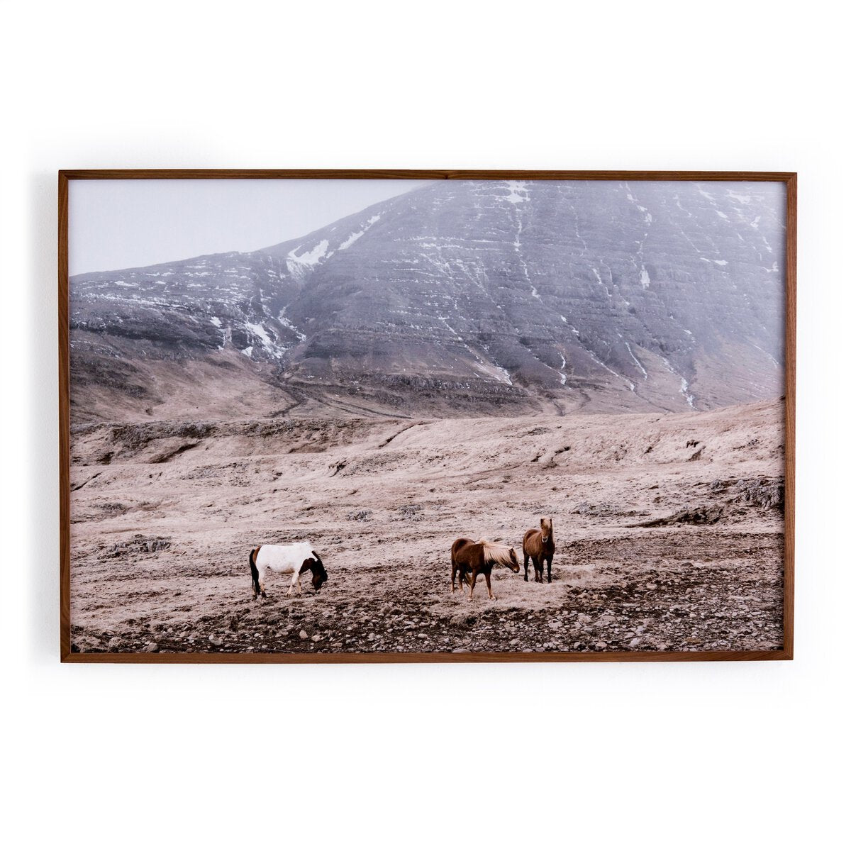 Wild Horses | Light House Co.