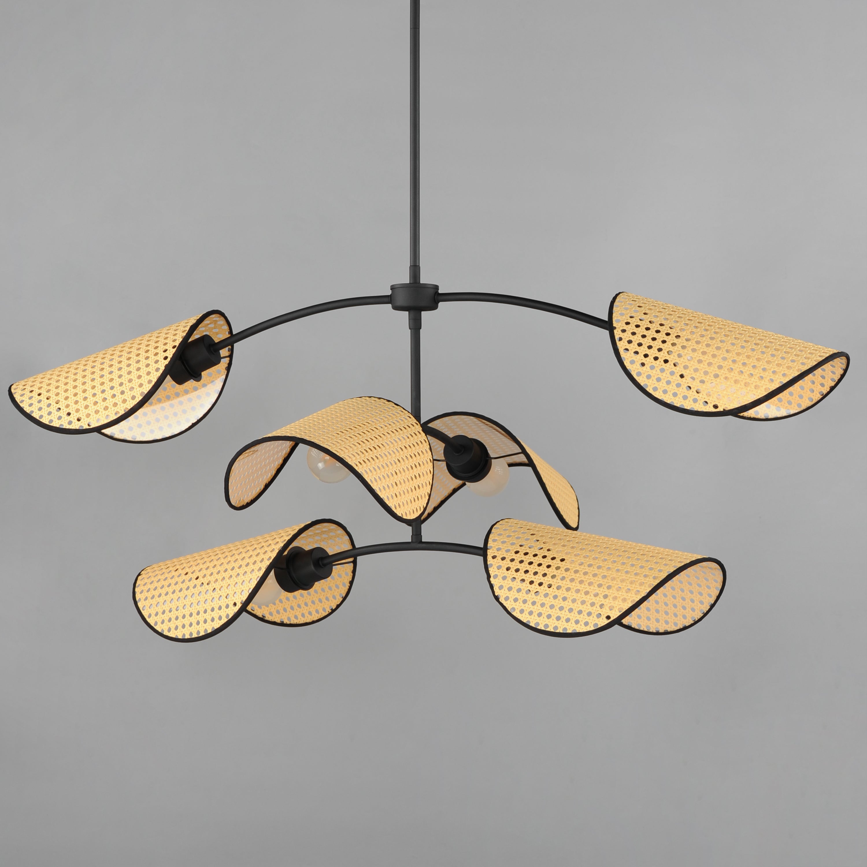 Bonnet 6-Light Chandelier | Ceiling Fixtures | Light House Co.