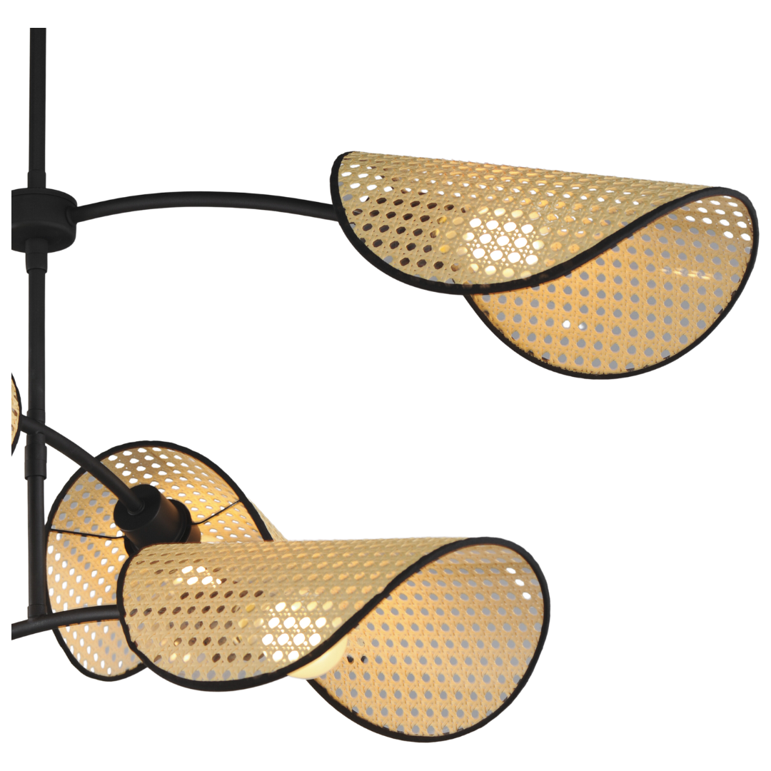 Bonnet 6-Light Chandelier | Ceiling Fixtures | Light House Co.