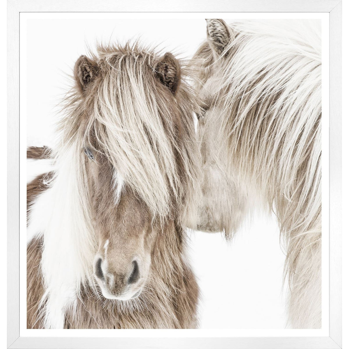 Whispering Ponies | Light House Co.